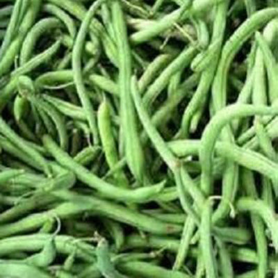 Wonder Bean Feisteas Nua Pole Bean Seeds Trellis Beans | Urban