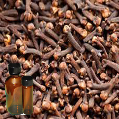 Oil Clove Bud – Nichols Garden Nursery