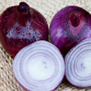 Red Wethersfield Improved Onion Sets – Nichols Garden Nursery
